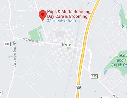 Pups & Mutts - Dog Boarding, Dog Daycare, Training, Grooming in Kyle, TX